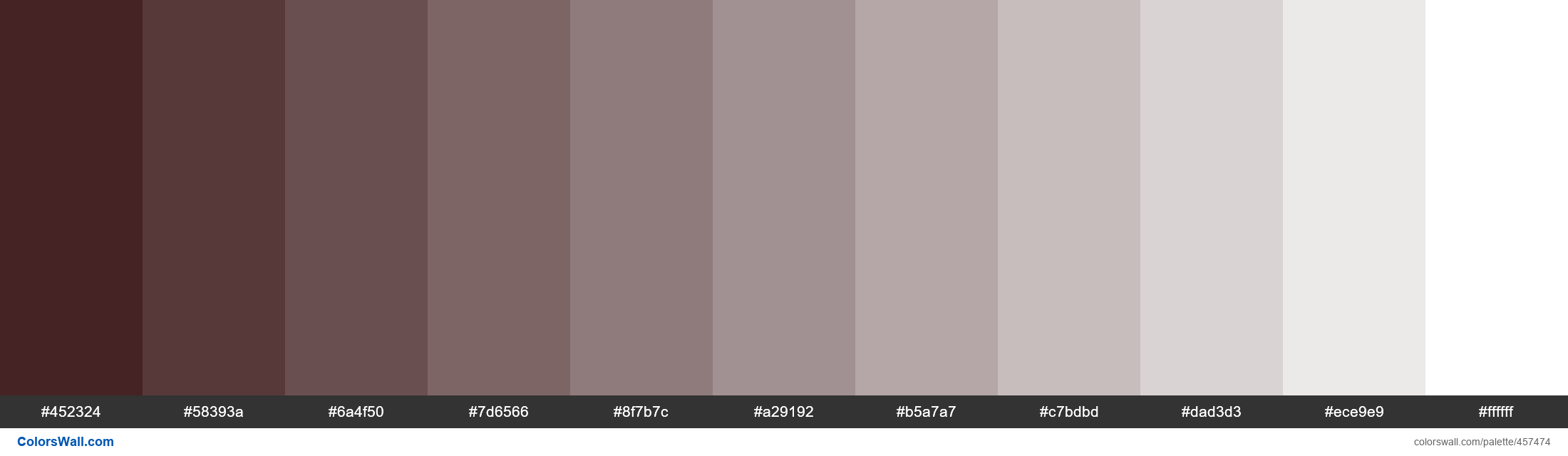 Dinora colors palette #452324, #58393a, #6a4f50 - ColorsWall