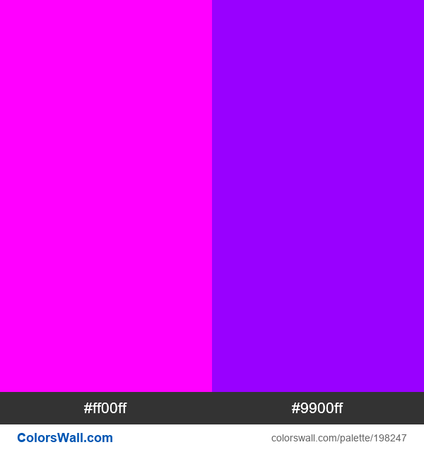 Magenta Purple colors palette | ColorsWall