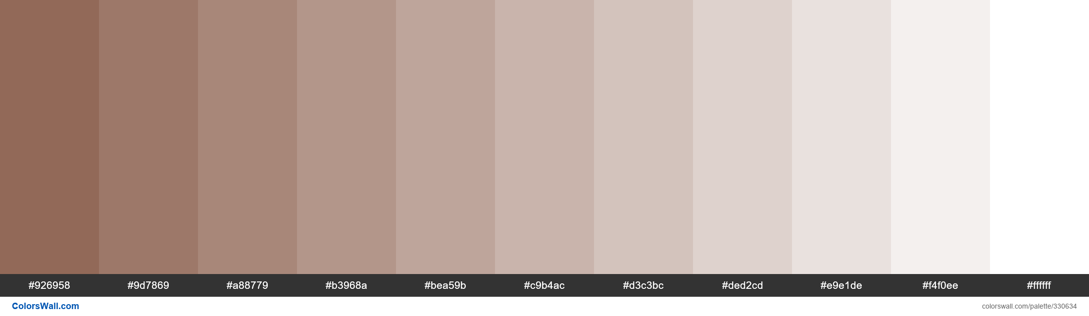Raccoon colors palette #926958, #9d7869, #a88779 - ColorsWall