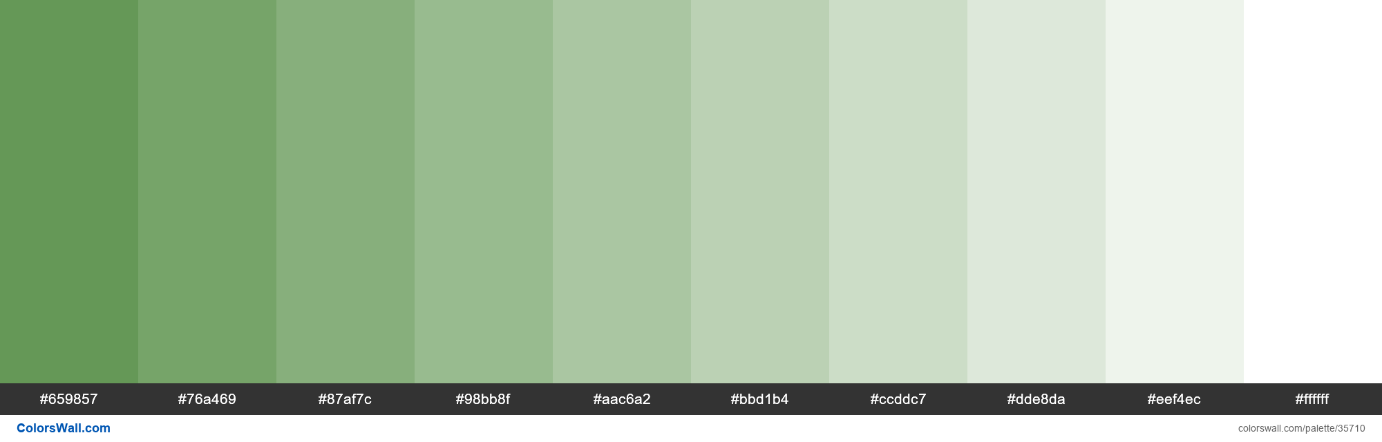 Tints XKCD Color fern green #548d44 hex colors palette | ColorsWall
